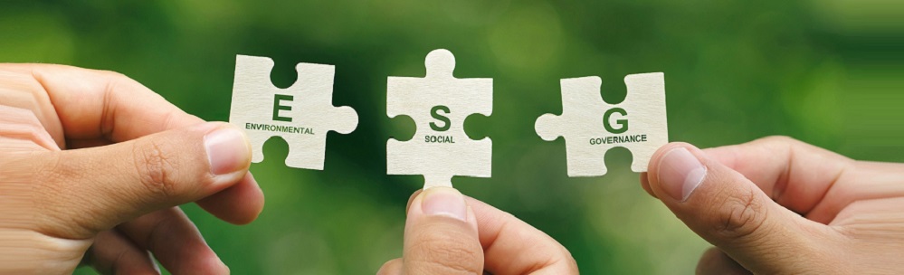 Why ESG Matters for SMEs | Sustainable Business | CIMB